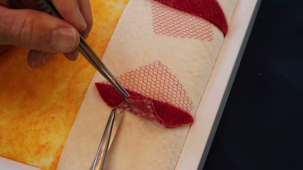 Sim*Dissect - 4: Dissecting Tissue Planes