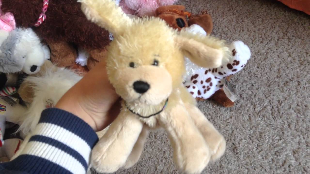 All My Webkinz Dogs (May 2016)