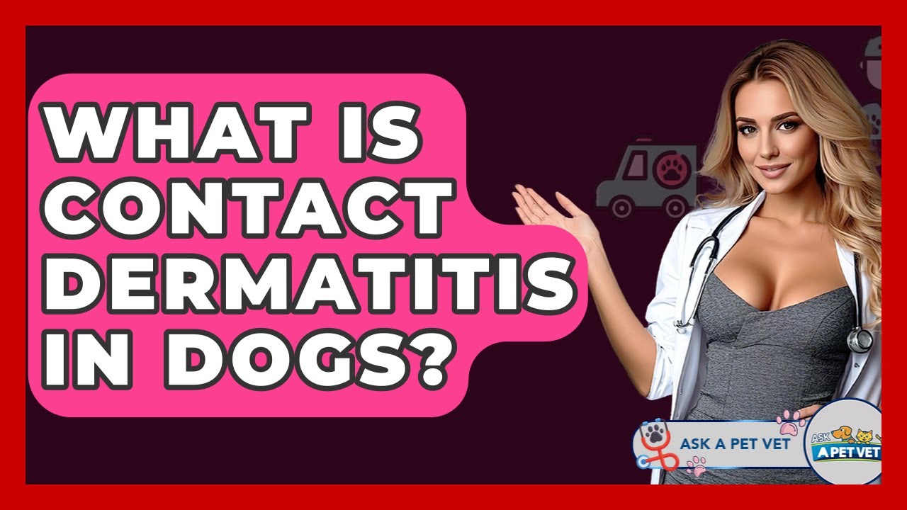What Is Contact Dermatitis In Dogs? - Ask A Pet Vet