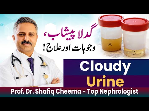 Cloudy Urine | Causes & Treatment #cloudy #uti #bestnephrologisinpakistan #topnephrologist