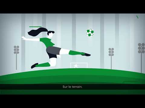 Fieldturf Promax Hydroflex