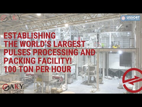 Establishing the World’s Largest Pulses Processing and Packing Facility! 100 tons/year
