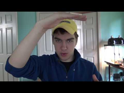 Intro to C++: Interpreted vs Compiled