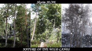 Nature of the Wild Lands - Mod Showcase at Skyrim Special Edition Nexus ...