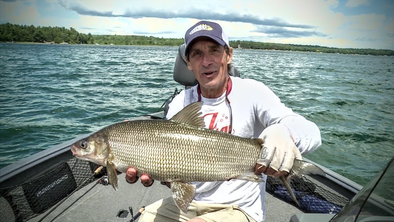 Catching Whitefish 101