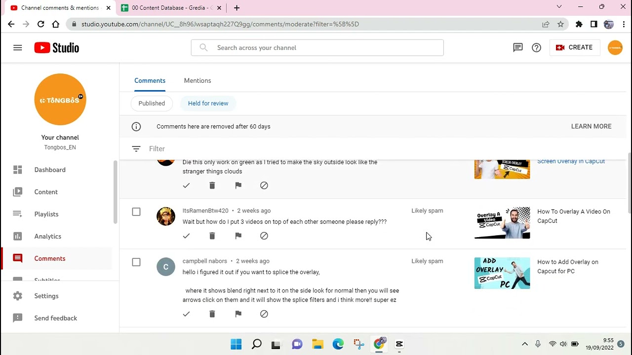 How to Remove and Report Inappropriate Youtube Comments NEW UPDATE September 2022
