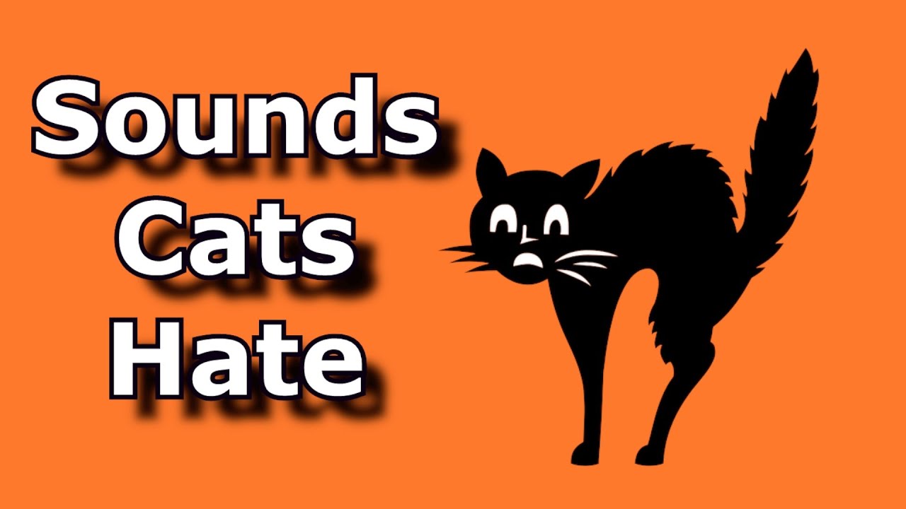 SOUNDS CATS HATE ~ Sound To Scare Cats and Dogs ~  Ultrasonic Alarm To Scare Off Animals