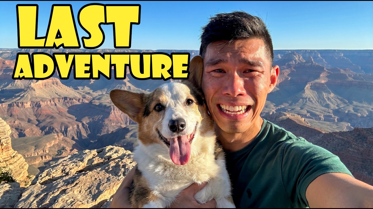 Showing My CORGI the Grand Canyon Before It's Too Late || Life After College: Ep. 828