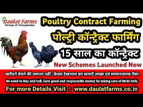 Poultry Contract Farming with Assured Returns on Investment पोल्ट्री कॉन्ट्रैक्ट फार्मिंग देशी चिकन