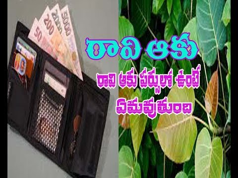 Peepal Leaf Money Secreates In Telugu.OR Ravi Leaf Put In Purse Details in Telugu.
