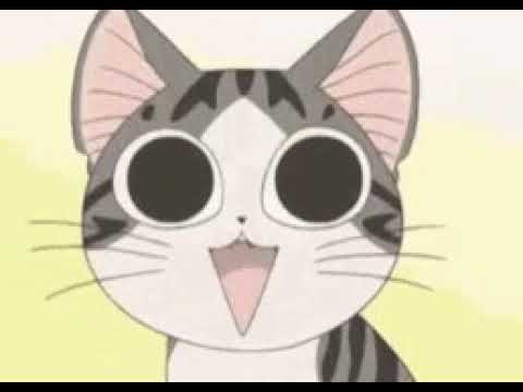 Funny cat gif free download #catgif