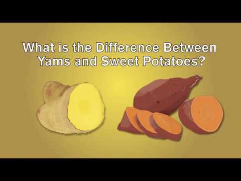 What's the Difference Between Yams and Sweet Potatoes?