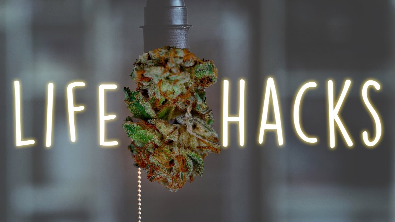 LIFE HACK OFFICIAL STRAIN REVIEW