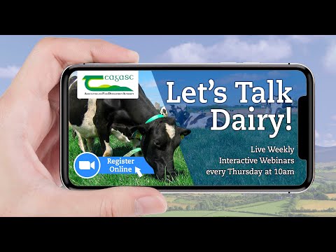 Let's Talk Dairy - A review of dry matter intake in cows in early lactation