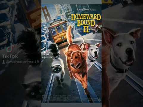 me and my sister's favourite movie Homeward Bound 2.