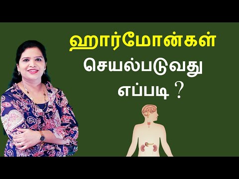 Endocrine System - நாளமில்லா சுரப்பி மண்டலம்