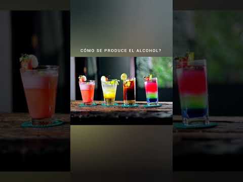 Cómo se produce el alcohol etílico?