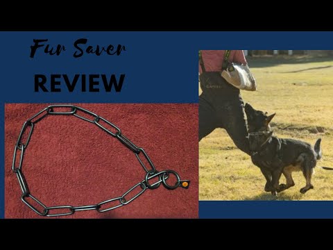 Unleash the Beast with Herm Sprenger Fur Saver Collars