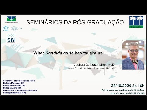 What Candida auris has taught us