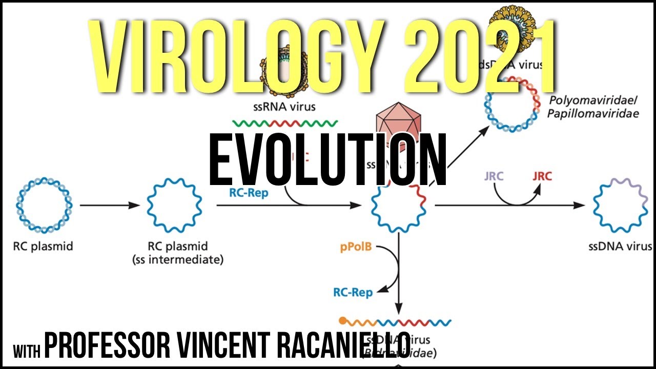 Virology Lectures 2021 #21 - Evolution