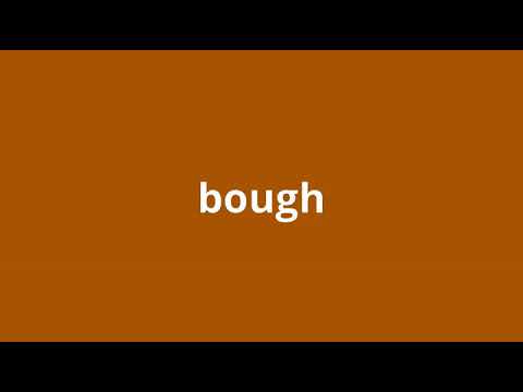 what is the meaning of bough