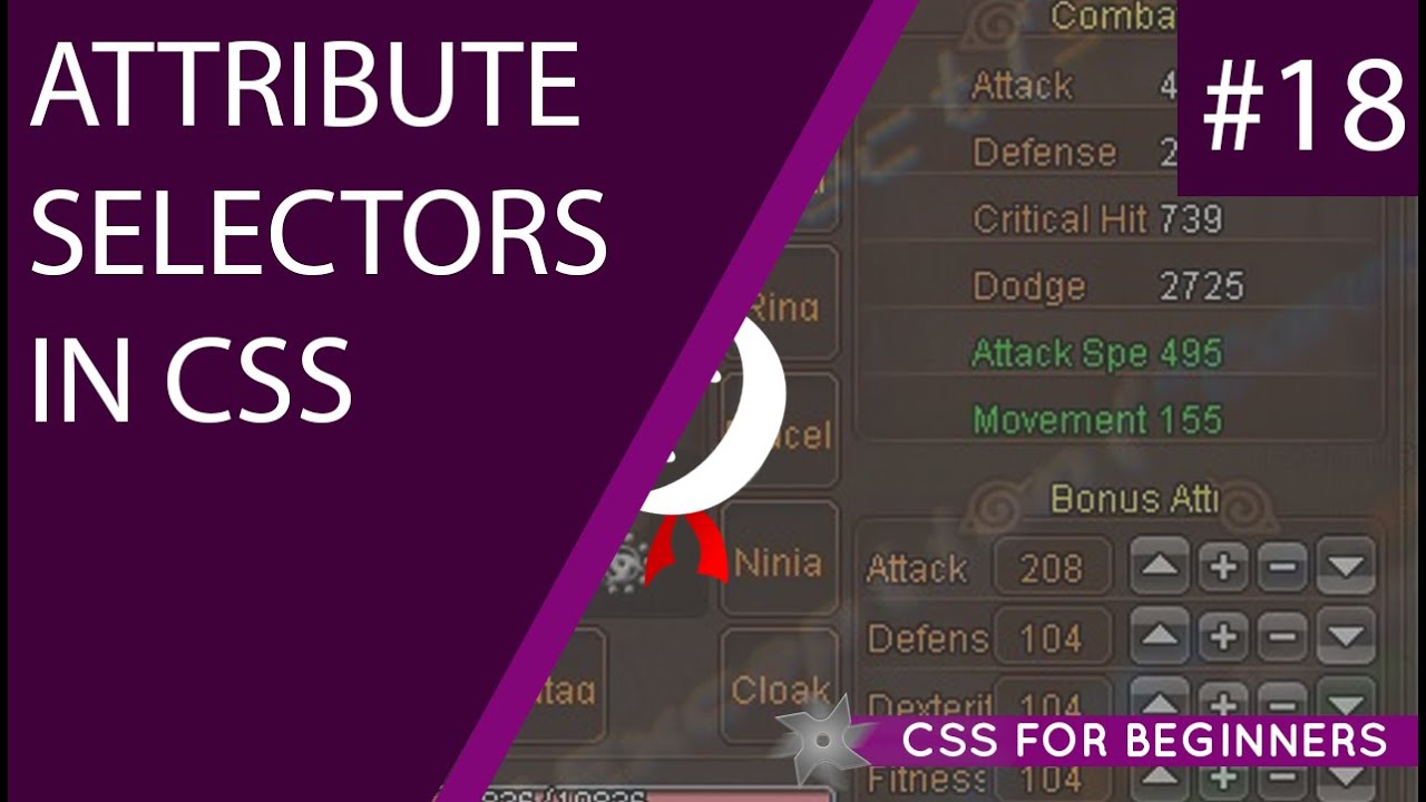 CSS Tutorial For Beginners 18 - Attribute Selectors