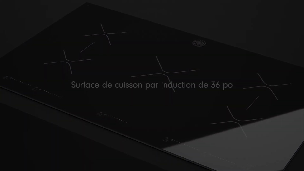 Professional Series | Plaque de Cuisson à Induction
