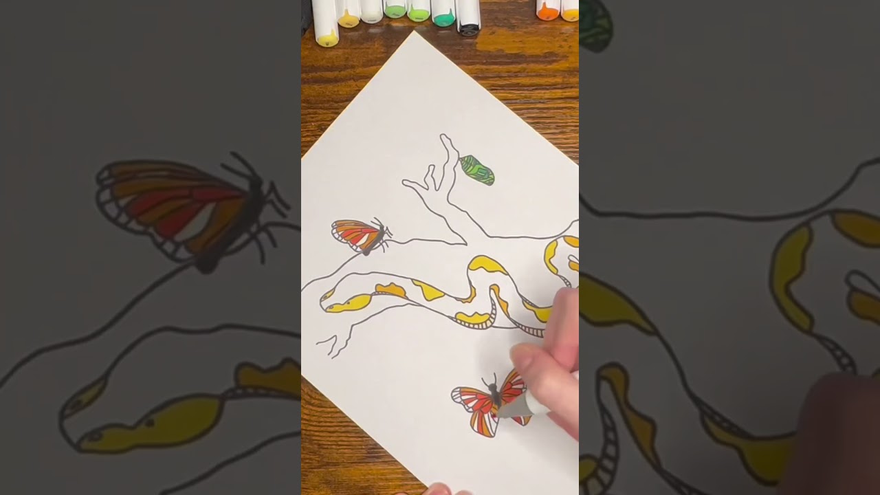 Python and Monarchs coloring page time lapse - hand drawn,digitized & colored by me ✍️💻🎨 Link🔝Bio