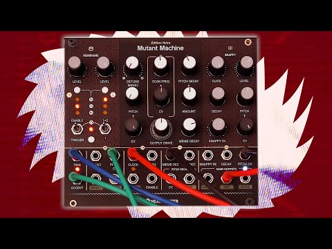 Hexinverter (Erica Synths) Mutant Machine 2024 - Black | Reverb
