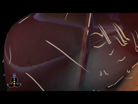 Essential Isochronic Tone "93.9 Hz" To Kill Parasites and its Eggs| Music To Cure For Smallpox #RMBB
