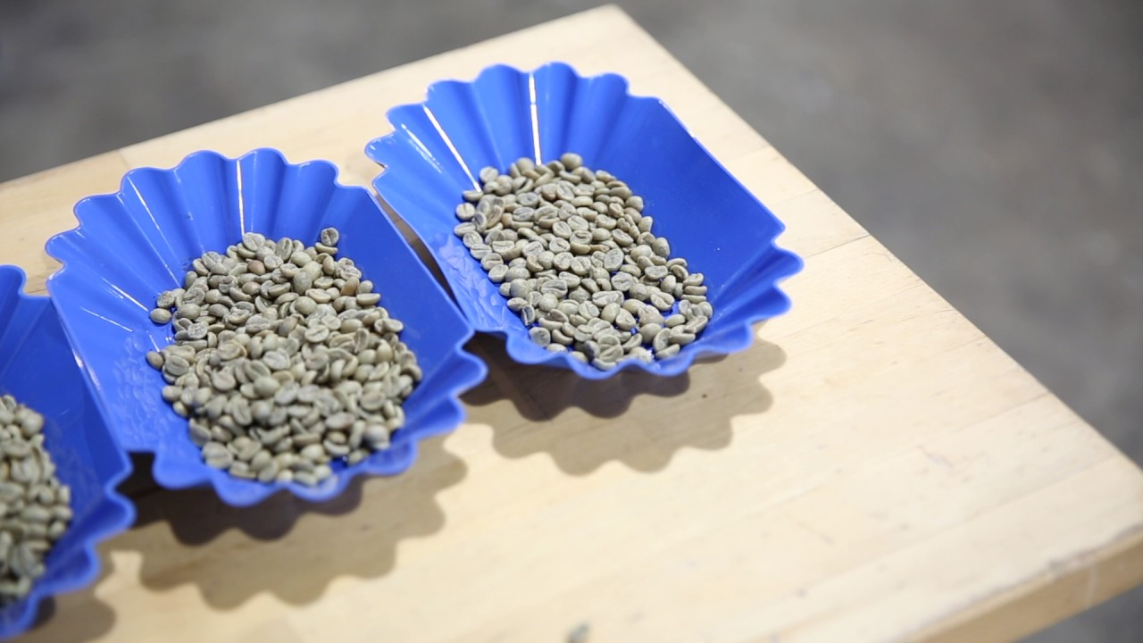 A Shakedown on Green Bean Screen Sizes