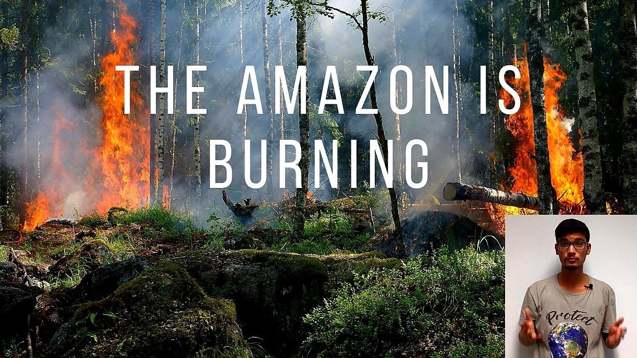 Amazon Rainforest Fires | Why We MUST Care