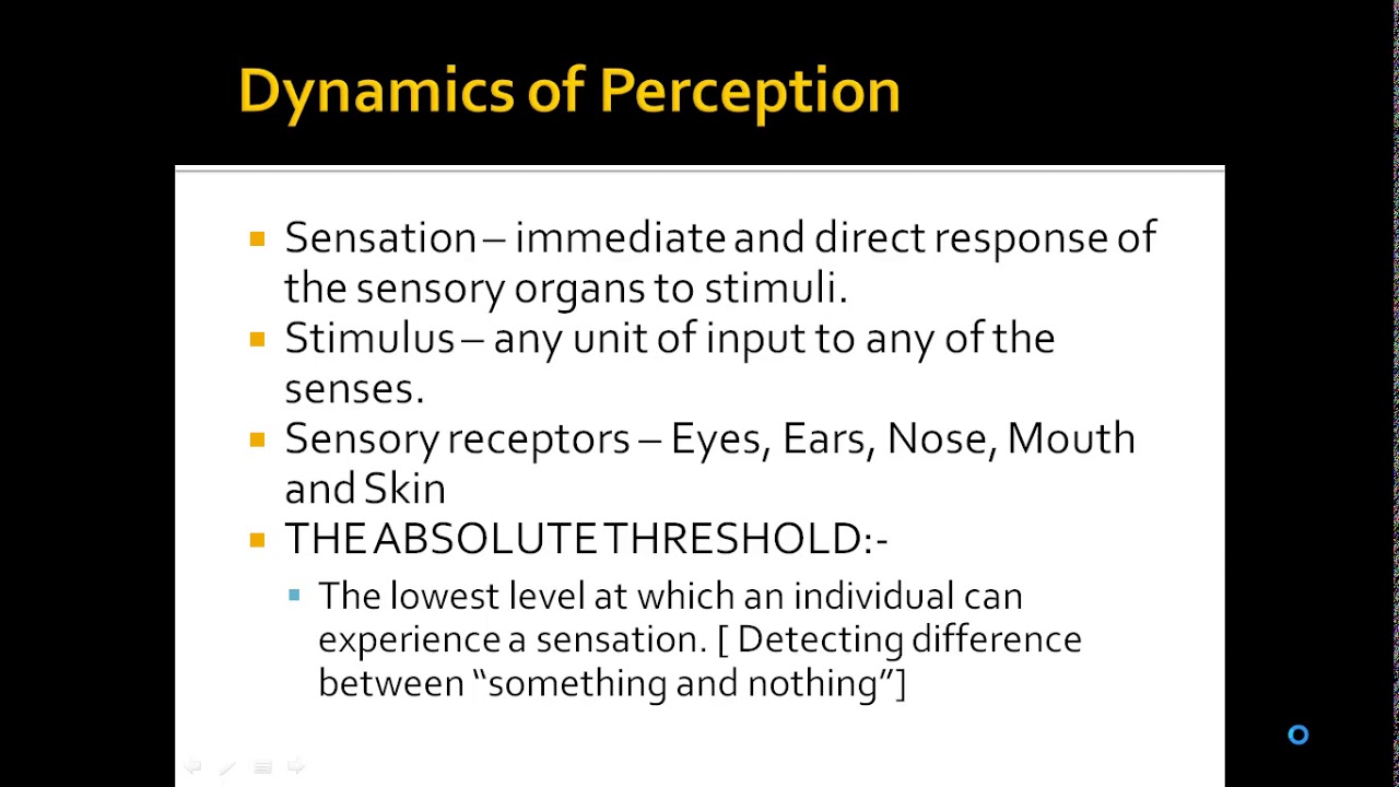 Consumer Perception Part 1