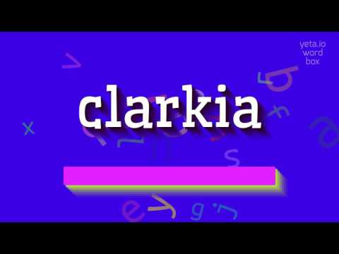 CLARKIA - HOW TO PRONOUNCE CLARKIA?