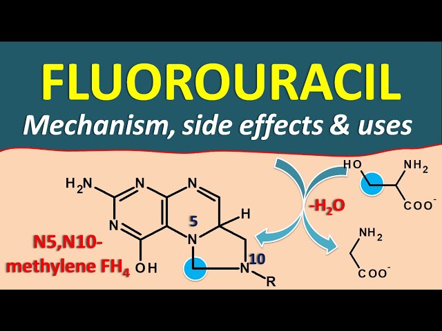 Anti Cancer Injection - 5 FLUCEL 500 Injection Trader - Wholesaler ...