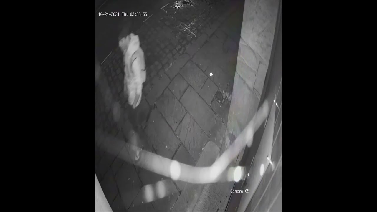 Lancaster sexual assault and burglary CCTV