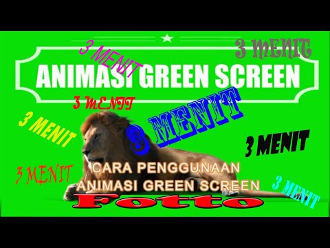 CARA MENGGUNAKAN GREEN SCREEN ANIMASI + FOTTO ,gif ,sticker,png