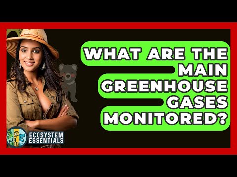 What Are The Main Greenhouse Gases Monitored? - Ecosystem Essentials