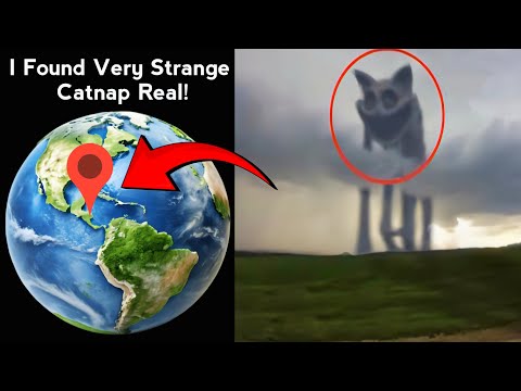 😶🌫️😱I Found Very Strange Catnap Real in google maps and google earth #map #earth #hrbro76