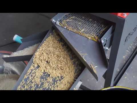 Paddy Straws at Best Price in India