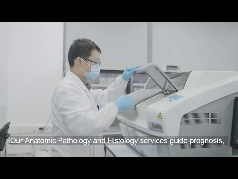 Labcorp Central Laboratory in Shanghai, China Tour