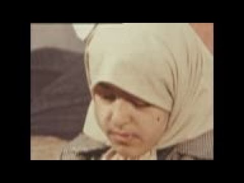 RR8041 IRAN THE HOSTAGE CRISIS ONE YEAR ON