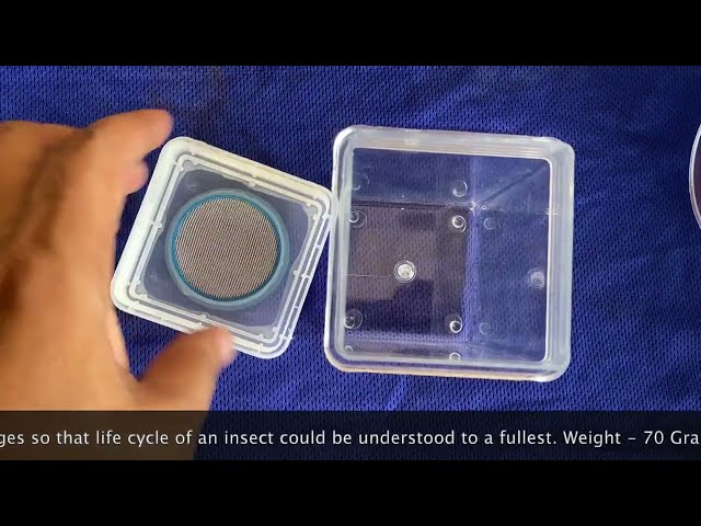 Bioassay Cum General Insect Containers - Insect Breeding Dishes ...