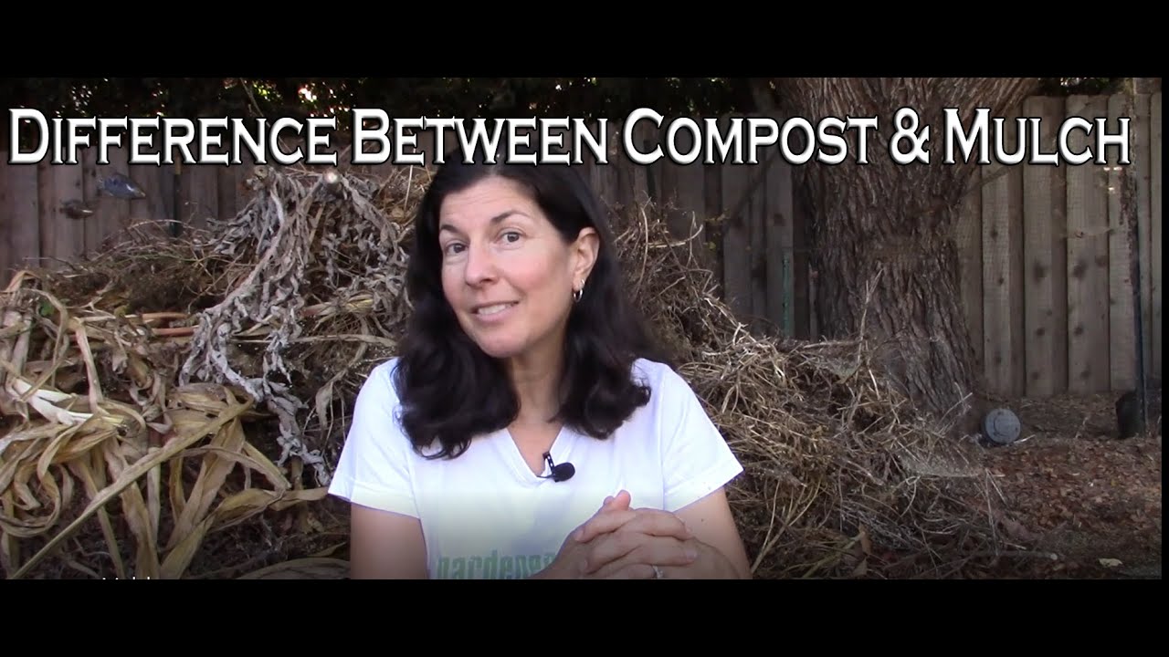 What's the Difference Between Compost and Mulch?