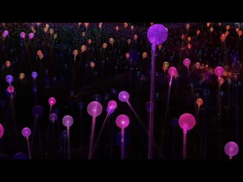 Sensorio, Field of Lights, 2020, Paso Robles, CA, by Bruce Munro
