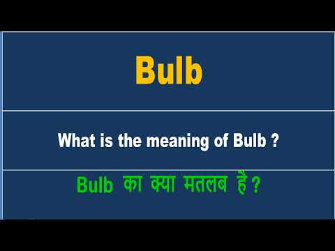 Bulb meaning in Hindi | Bulb ka kya matlab hota hai | daily use English words