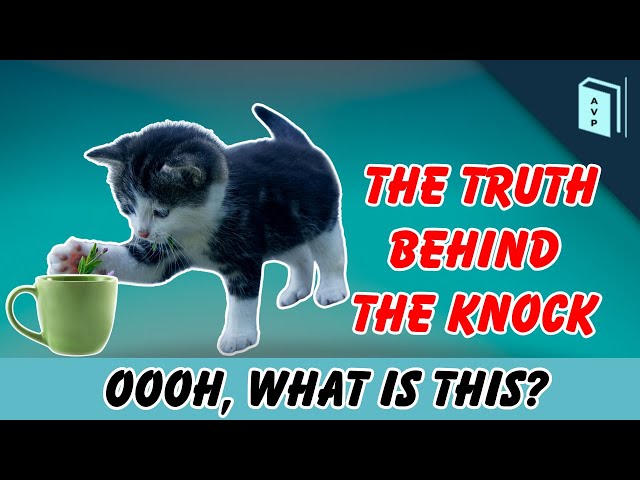 Understanding the Quirky Behavior of Cats: Why They Knock Things Off ...