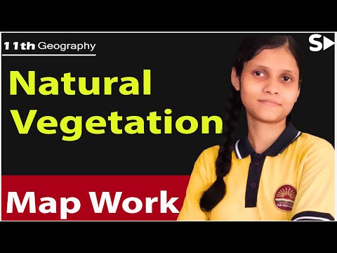Natural Vegetation Video Lecture | Geography Class 11 - Humanities/Arts