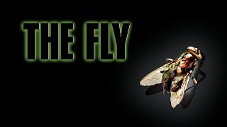 La mosca - film: dove guardare streaming online