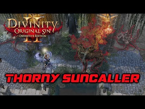 Steam Community :: Video :: Divinity OS 2 - Definitive Edition ...